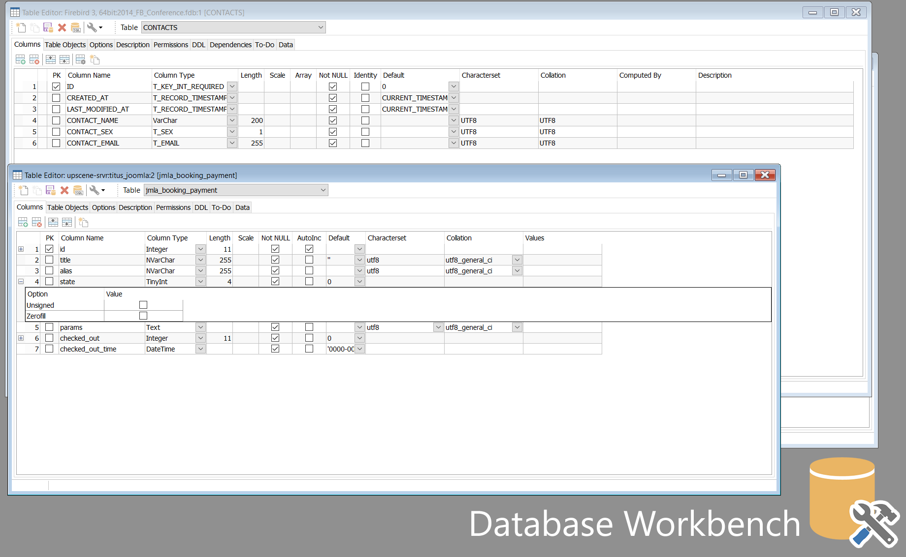 Free Database Workbench Lite edition available! - Firebird News